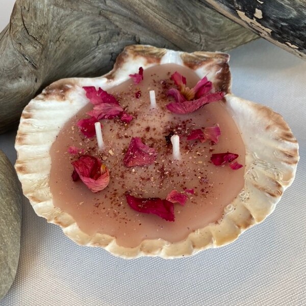 Seashell Candle - Etsy