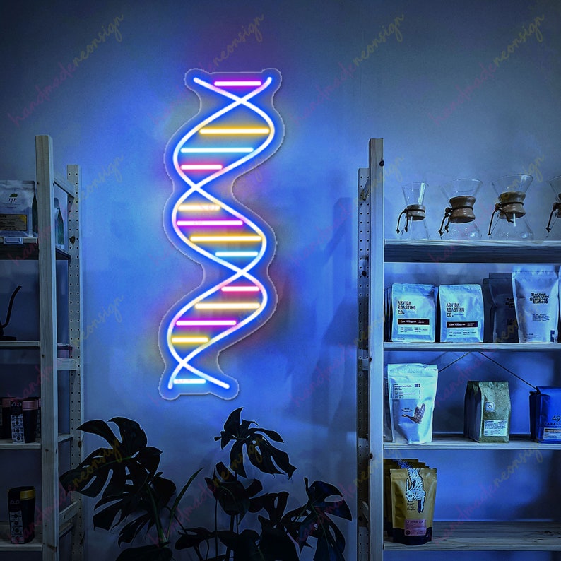 Custom DNA Double Helix Neon Sign: Biology Science Art LED Light - Etsy