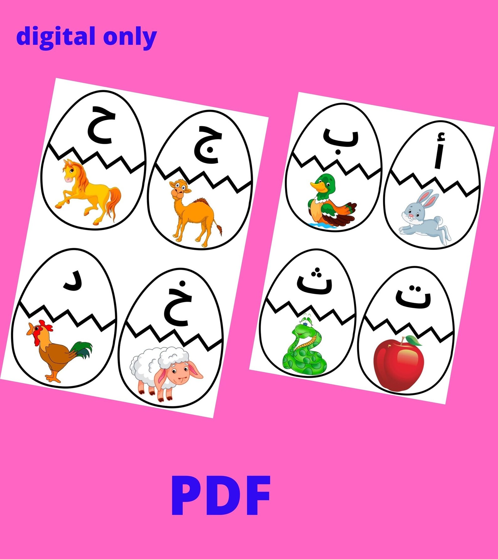 Arabic Alphabet Puzzles 28-letter/ Picture Matching Game - Etsy