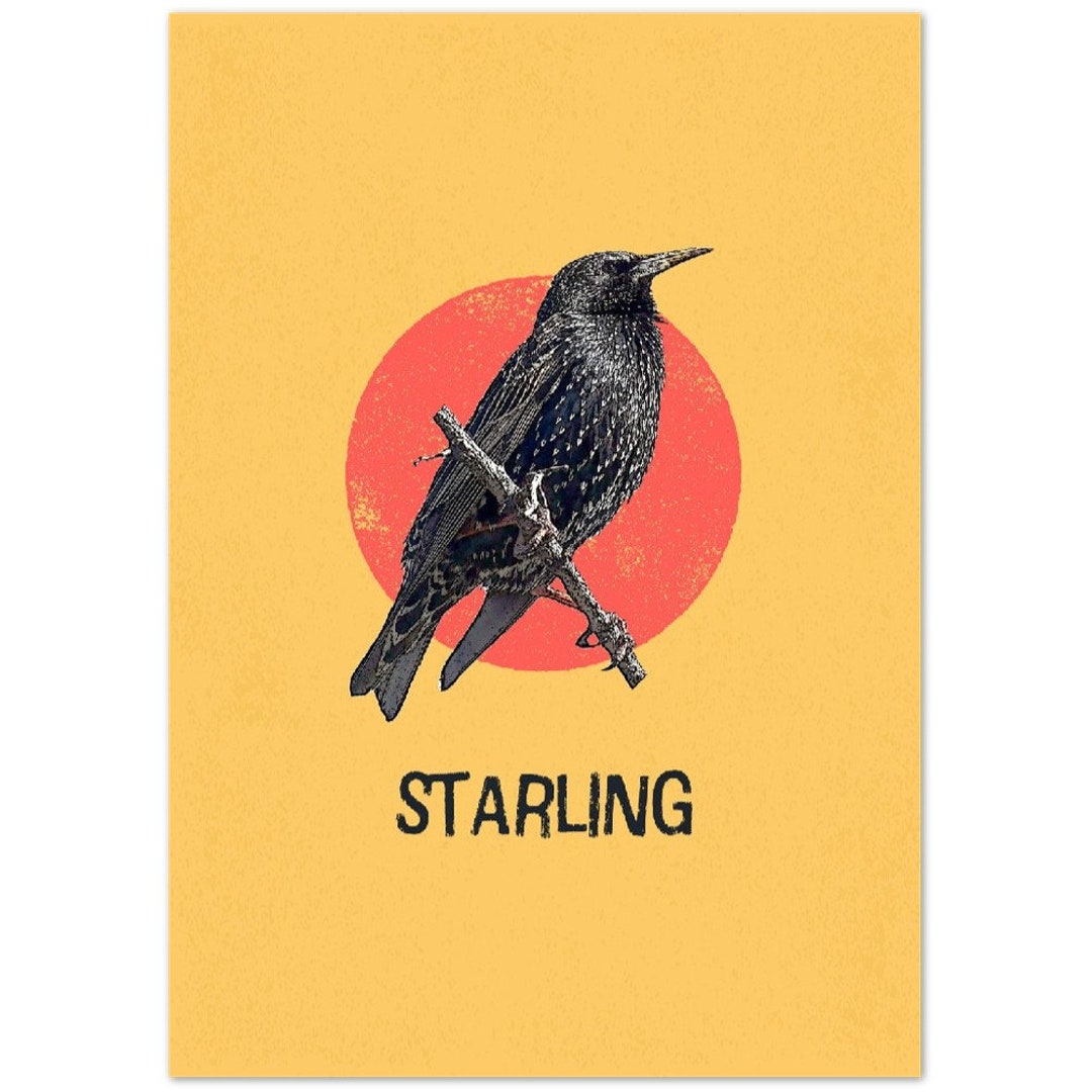 Starling in Front of the Sun | Professionally Printed Poster ...