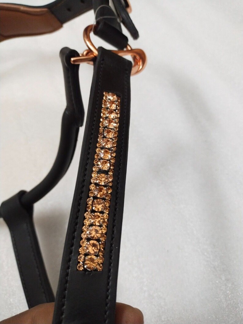 Leather Horse Halter Anatomic Headpiece With Matching Crystal and Tan ...