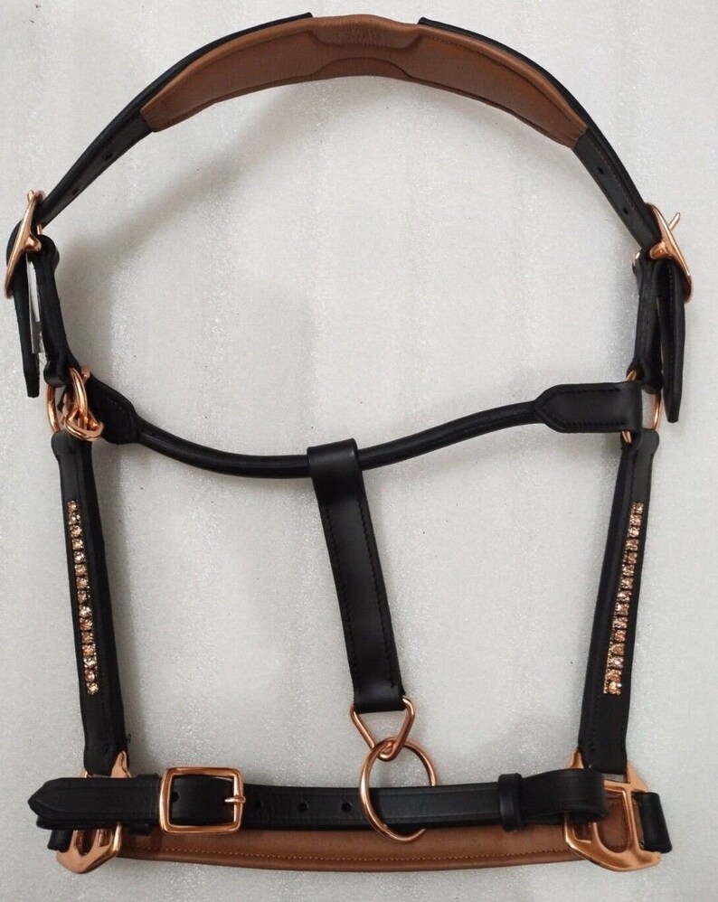 Leather Horse Halter Anatomic Headpiece With Matching Crystal and Tan ...