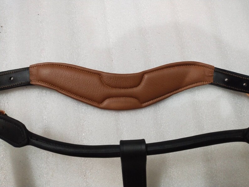 Leather Horse Halter Anatomic Headpiece With Matching Crystal and Tan ...