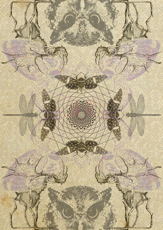 Forest Cycle Taiowa Shipibo Pattern Shipibo Tribe Ayahuasca - Etsy