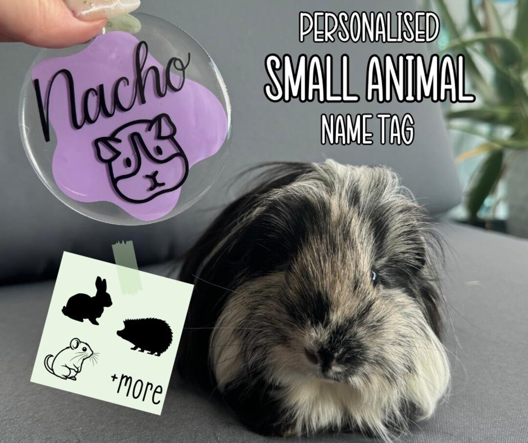 Guinea Pig Name Tag, Ornament, Personalised, Cage Tag - Etsy