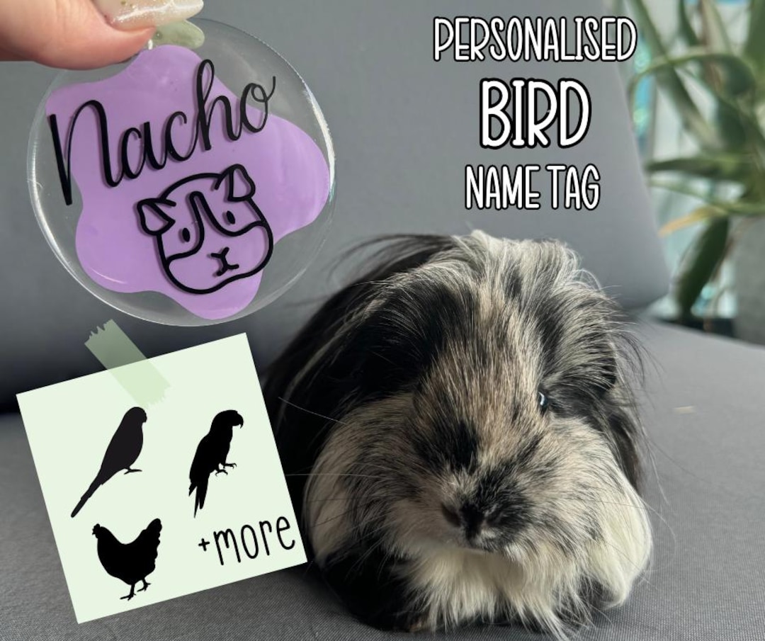 Bird Name Tag, Ornament, Personalised, Cage Tag - Etsy