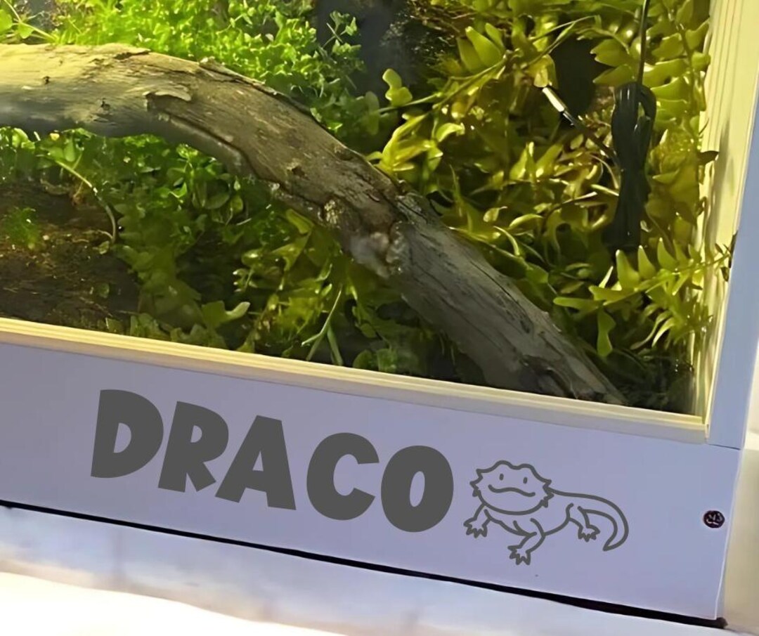 Custom Lizard, Snake, Guinea Pig, Bunny, Hamster Name Sticker Vinyl ...