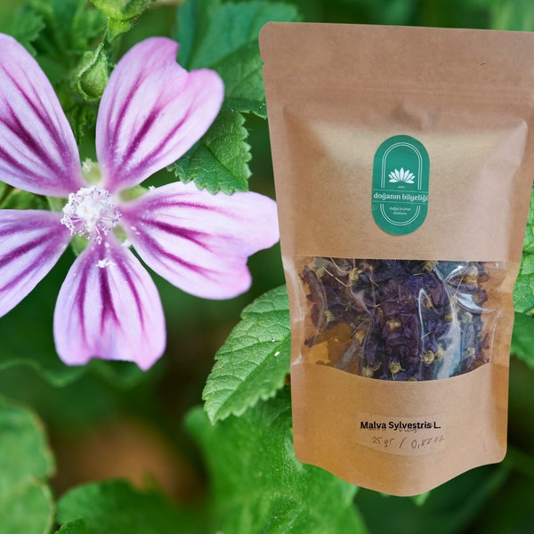 Common Mallow - Etsy