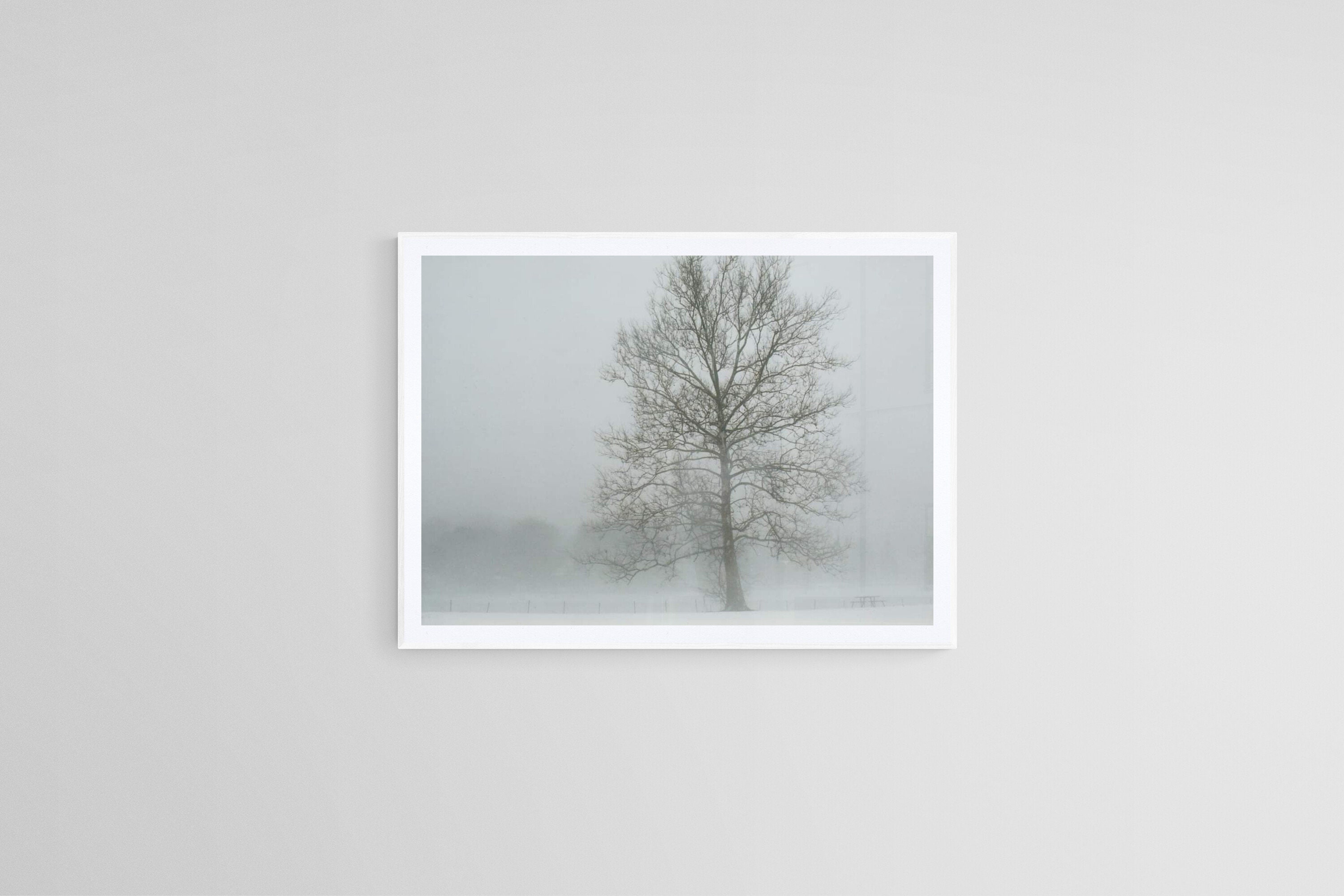 Nature Scene - "tree in Fog and Snow" (2001) - Modern Wall Art Print ...
