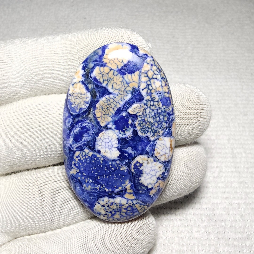 Blue Cobra Jasper Dyed Blue Cobra Jasper Cabochon Handmade - Etsy