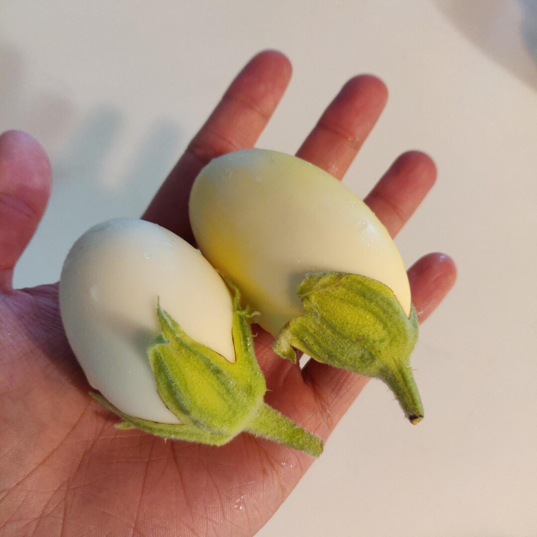 White Aubergine Seeds