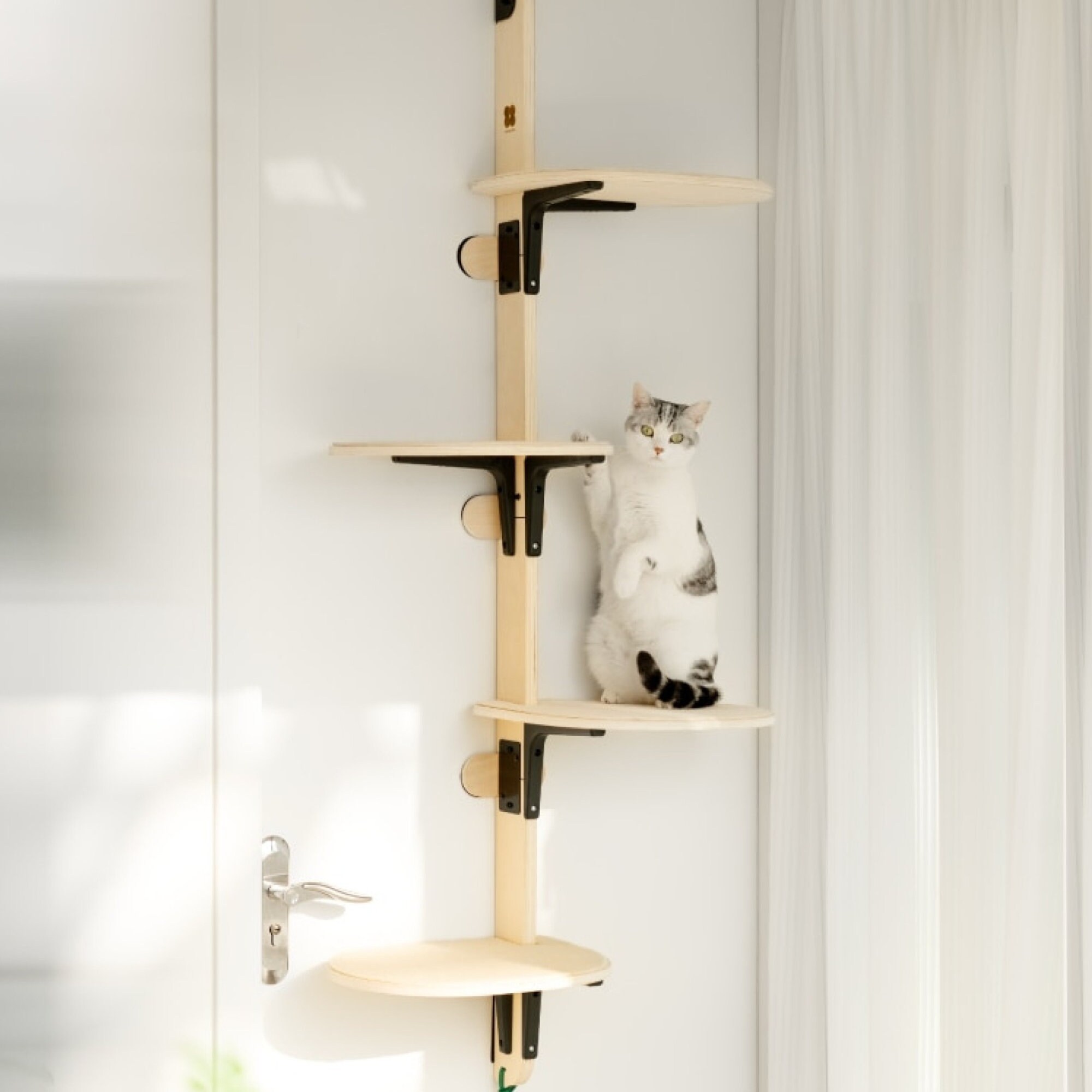 Cat Ladders For The Wall