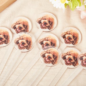 Personalized Pet Drink Stir Stick Custom Acrylic Printing Dog Cat Drink ...