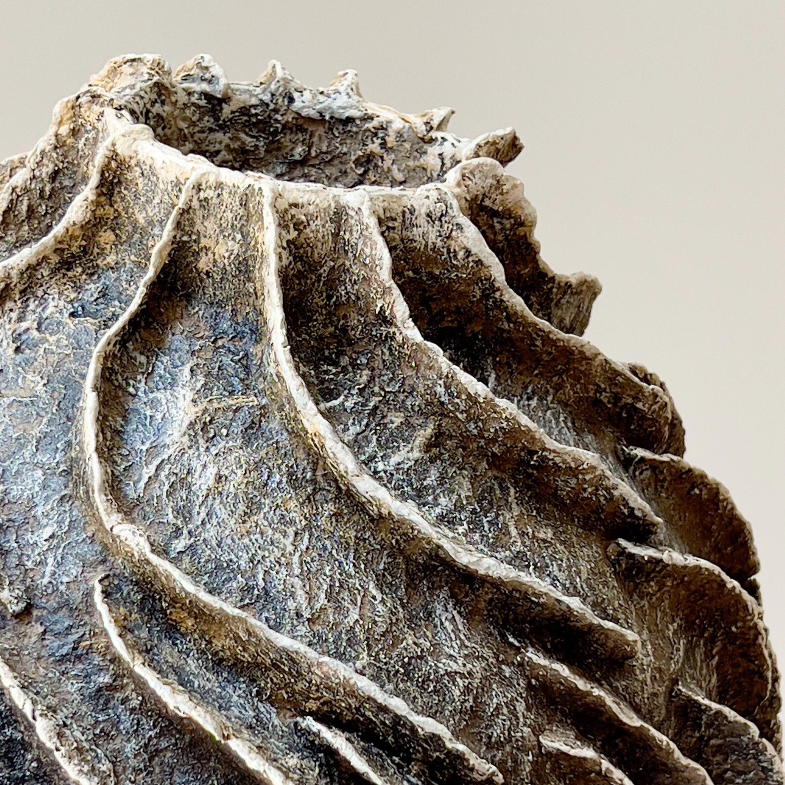 Paper Clay Biomorphic Sculpture: Japandi Decor Textured Art Vessel ...