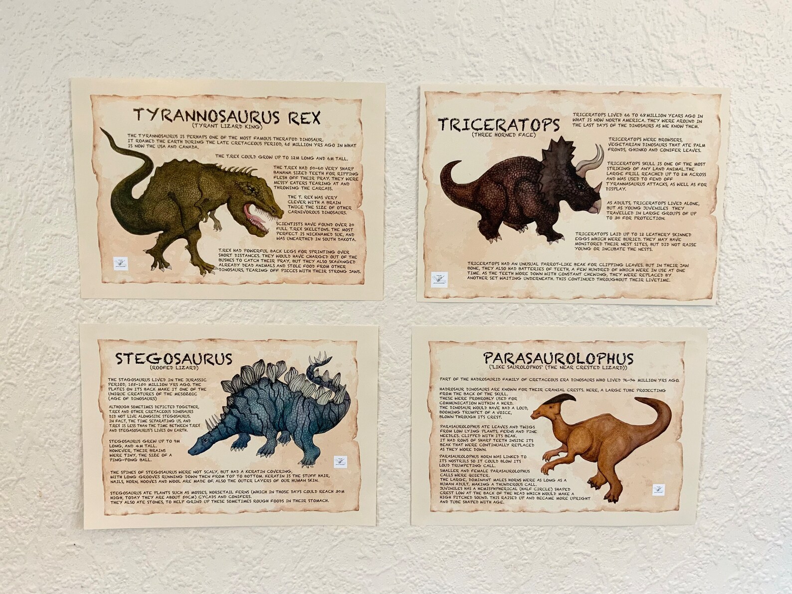 Dinosaur Poster. Kids Poster. T.rex Poster. Fact Poster. Individual. A4 ...