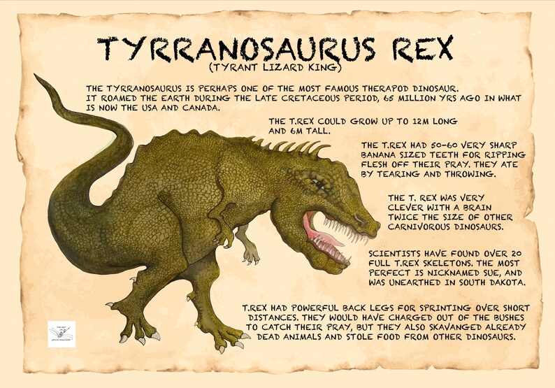 Dinosaur Poster. Kids Poster. T.rex Poster. Fact Poster. Individual. A4 ...