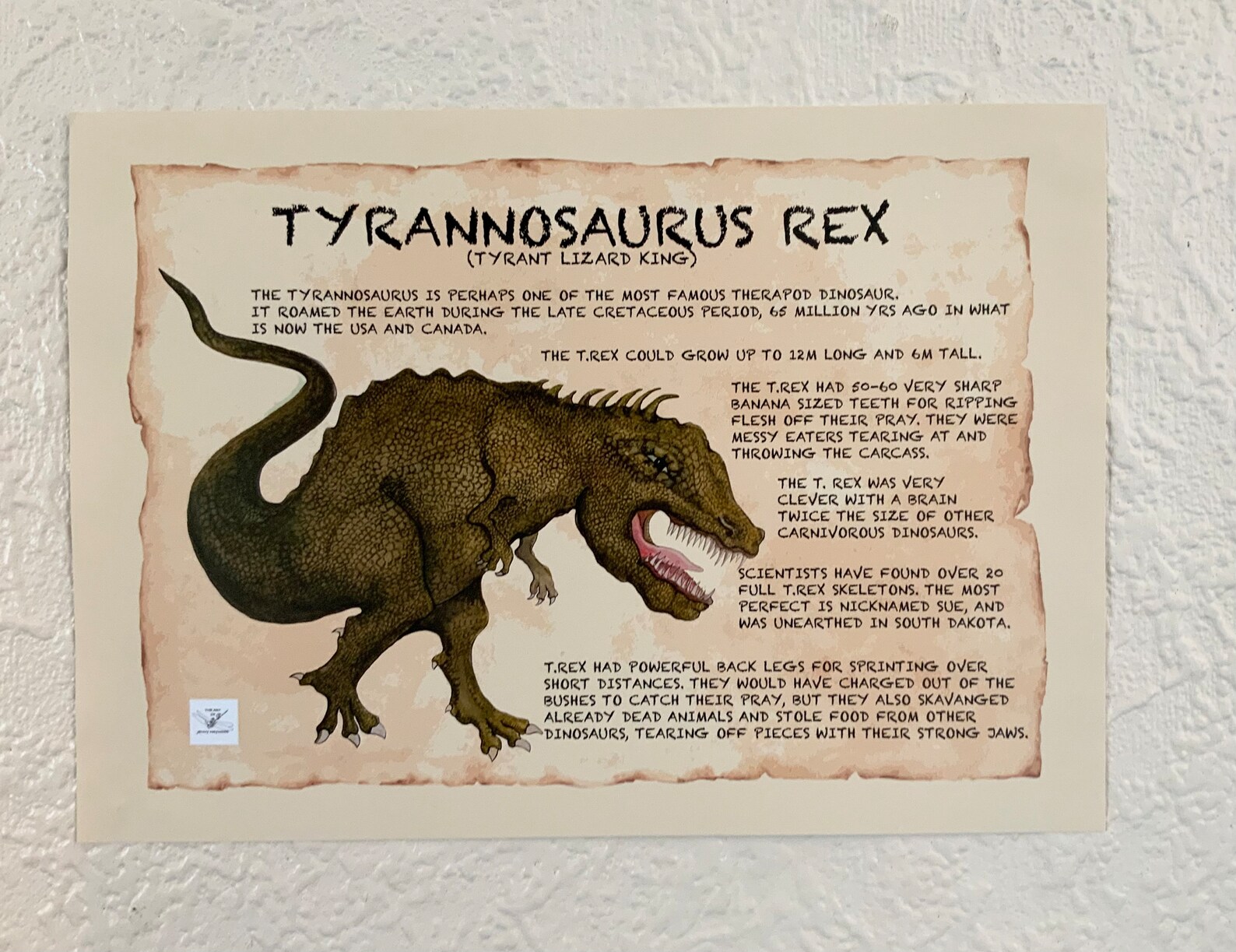 Dinosaur Poster. Kids Poster. T.rex Poster. Fact Poster. Individual. A4 ...