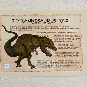 Dinosaur Poster. Kids Poster. T.rex Poster. Fact Poster. Individual. A4 ...