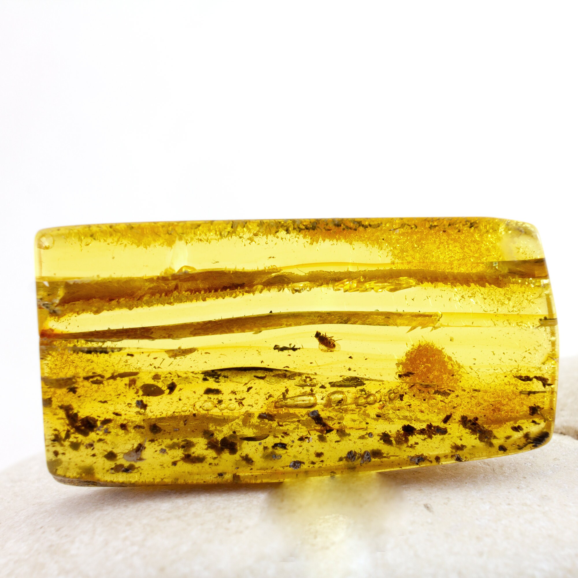 Amber With Insect, Fossil Insect and Flora Inclusions in Genuine Baltic ...