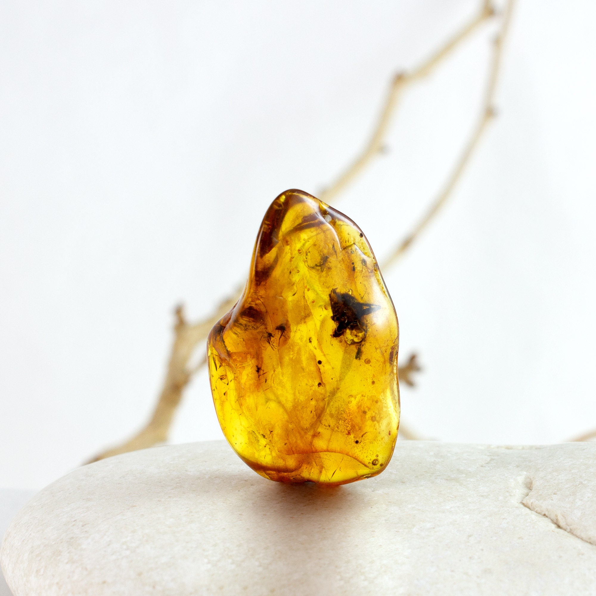 Amber With Insects, Rare Fossil Insect Inclusion in Genuine Baltic ...
