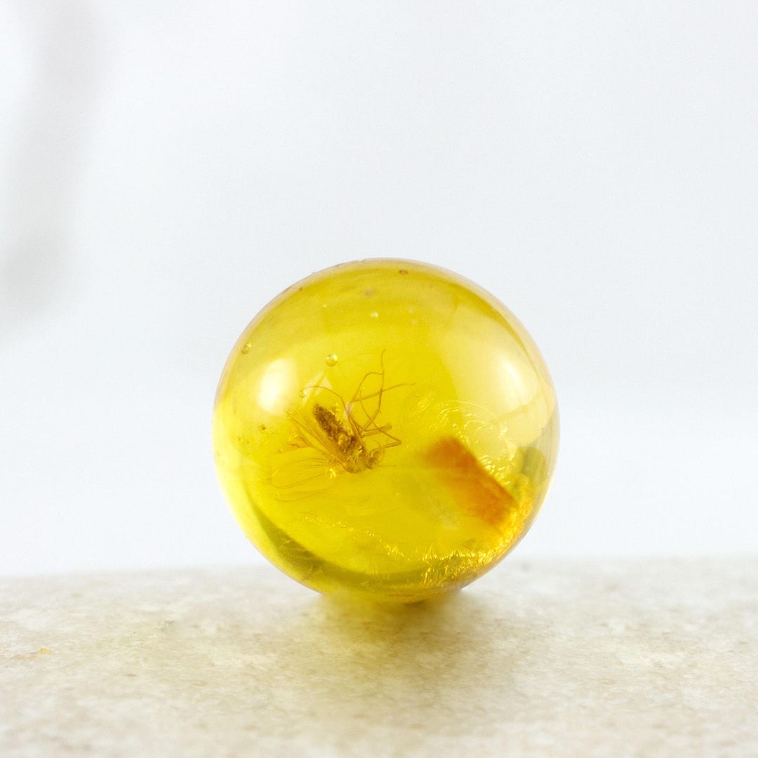 Amber With Insect, Fossil Insect Inclusion in Genuine Baltic Amber 8mm ...