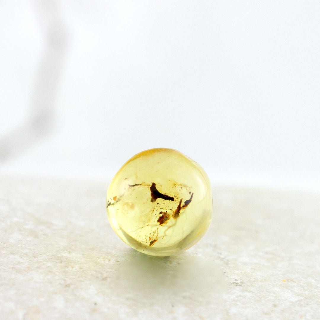 Amber With Inclusion, Fossil Flora Inclusions in Small Genuine Baltic ...