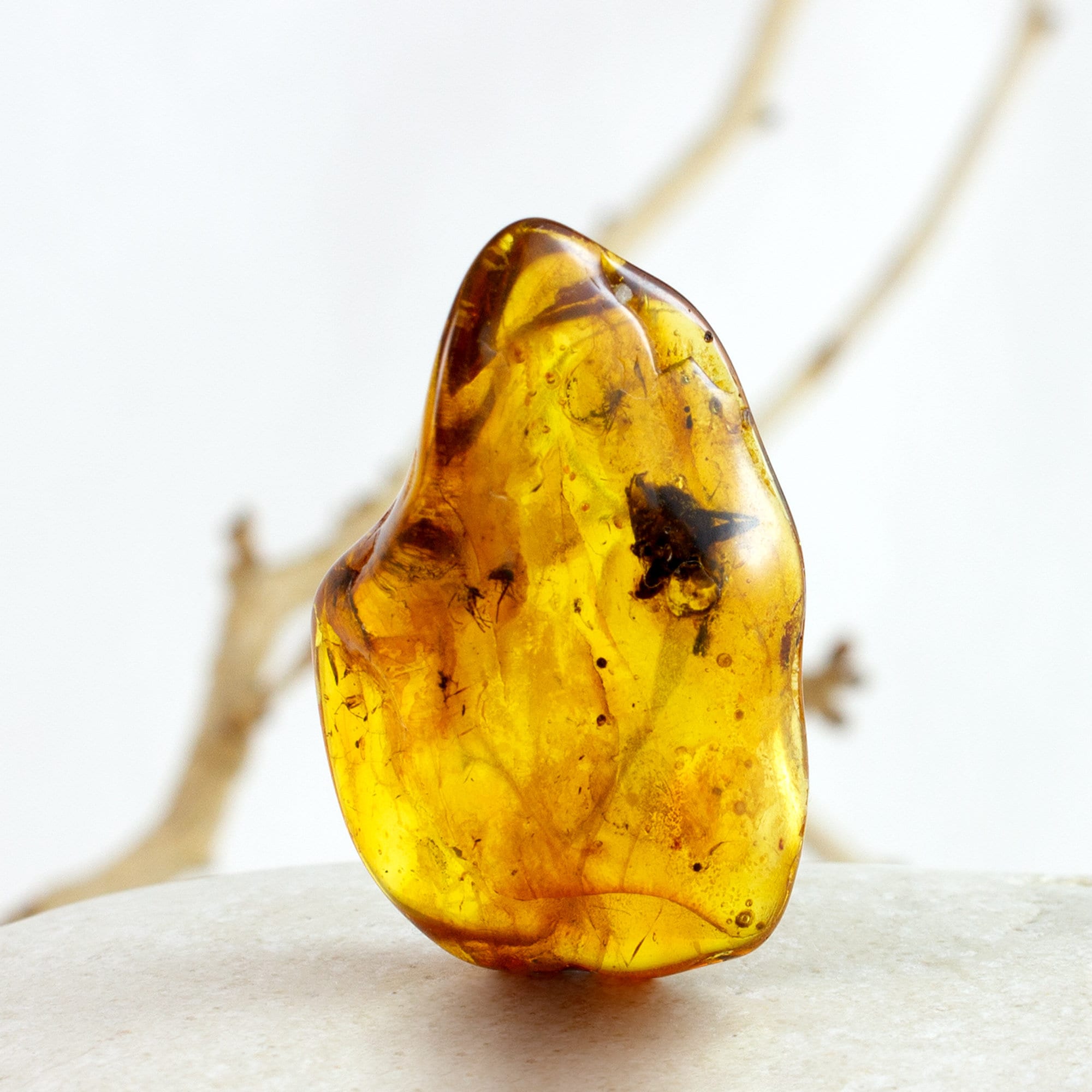 Amber With Insects, Rare Fossil Insect Inclusion in Genuine Baltic ...