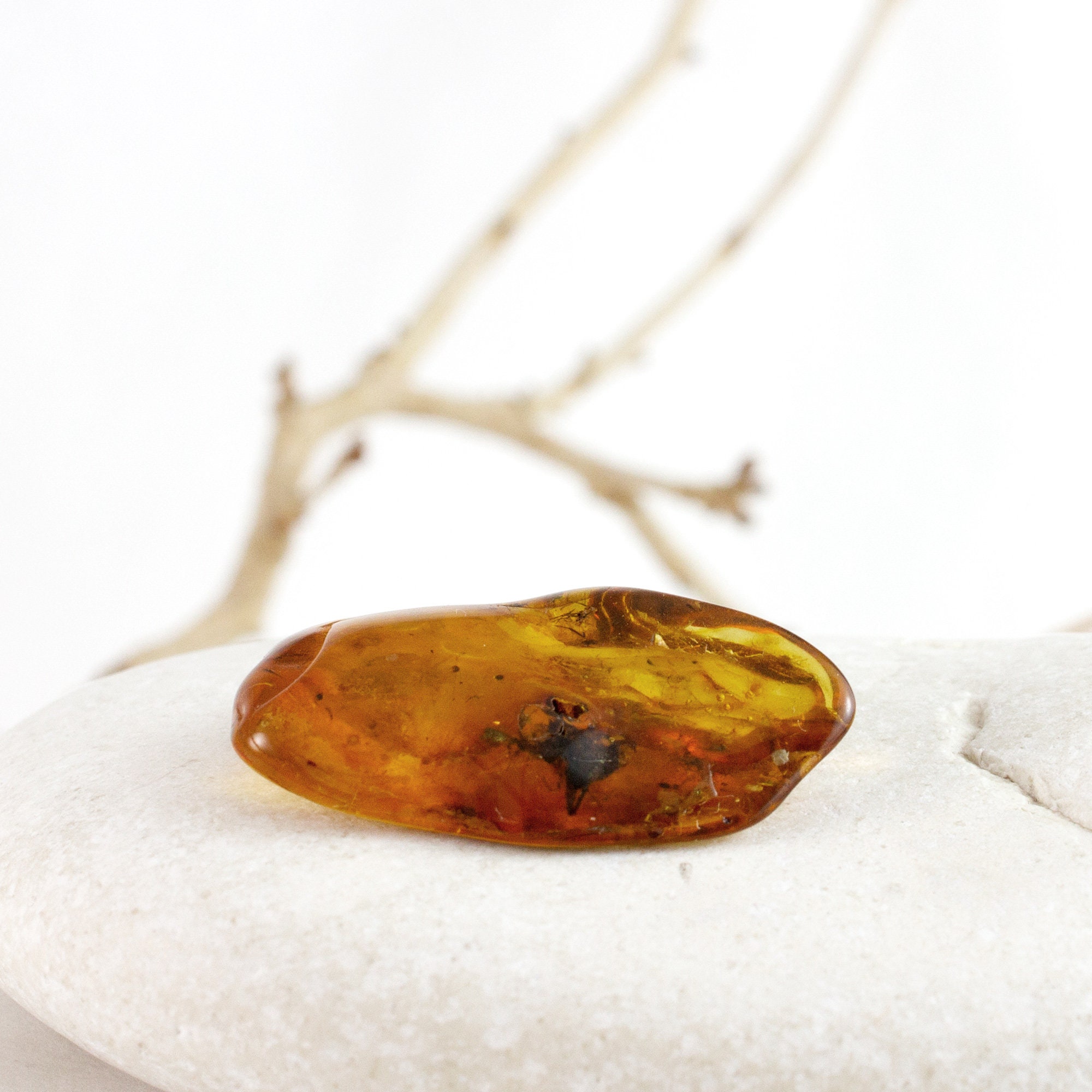Amber With Insects, Rare Fossil Insect Inclusion in Genuine Baltic ...