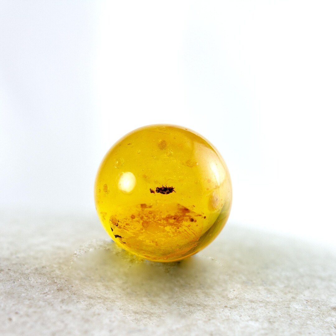 Amber With Insect, Fossil Insect Inclusion in Genuine Baltic Amber 9mm ...