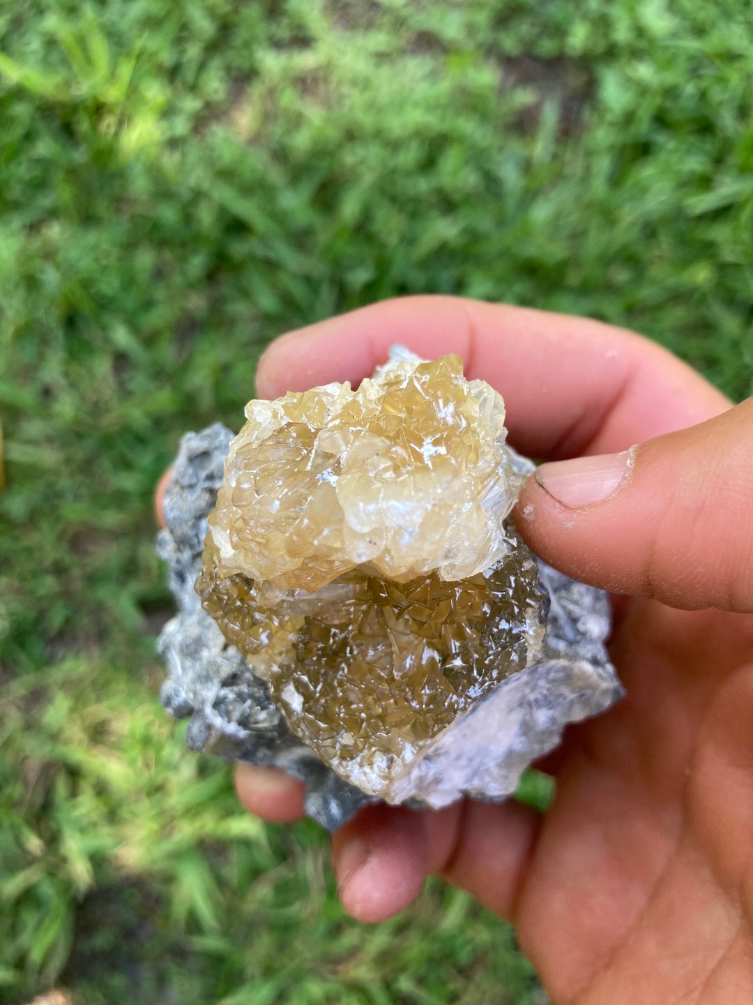 Fossil Whelk Shell Portion Full of Calcite Crystals. - Etsy