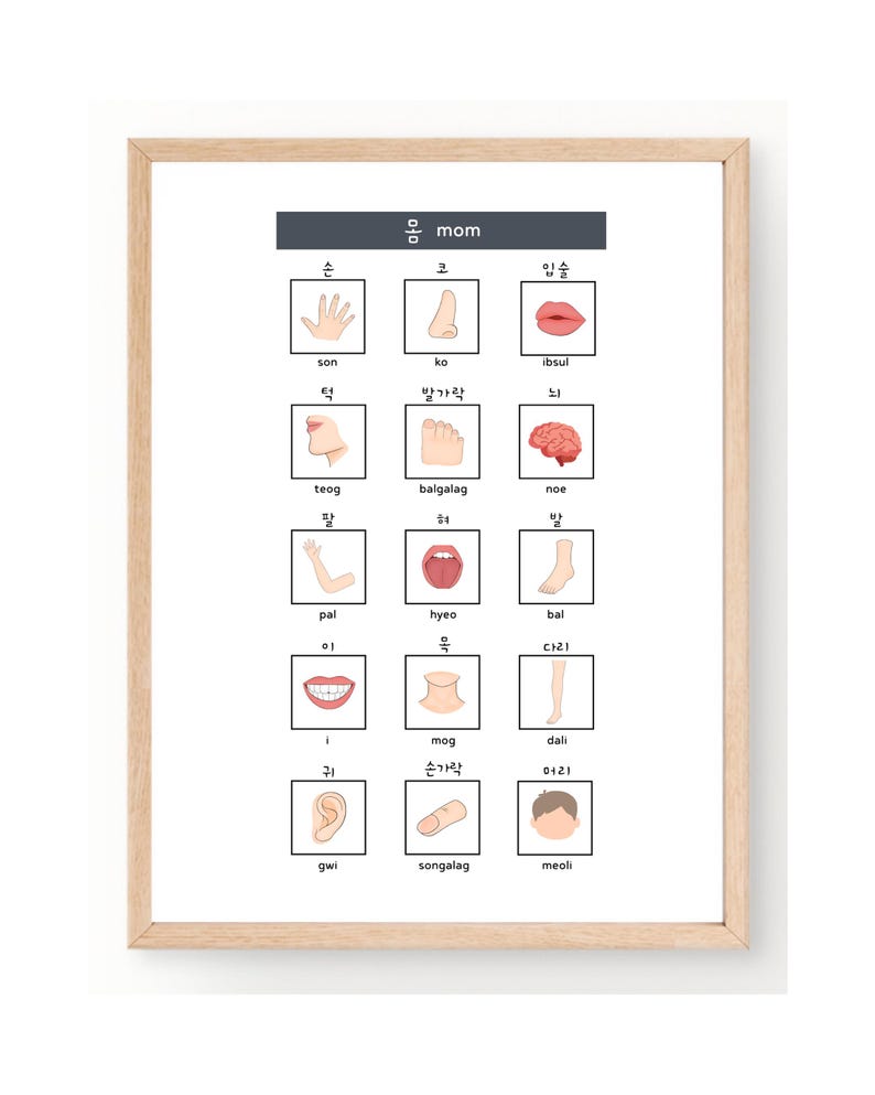 Poster, Korean Vocabulary, PARTS of the BODY, Hangul Teaching Tool ...