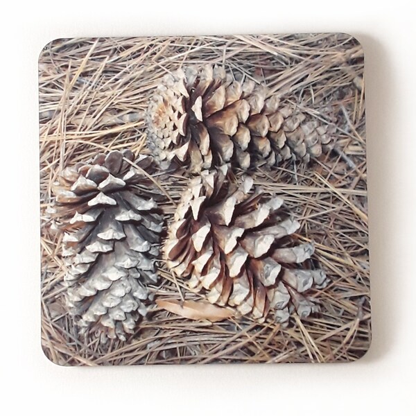 Pine Coasters - Etsy