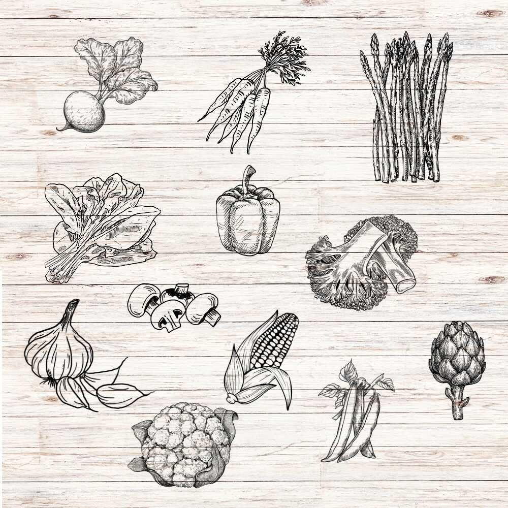 Hand Drawn Vegetable Clipart PNG | Transparent Farmhouse Veggie ...