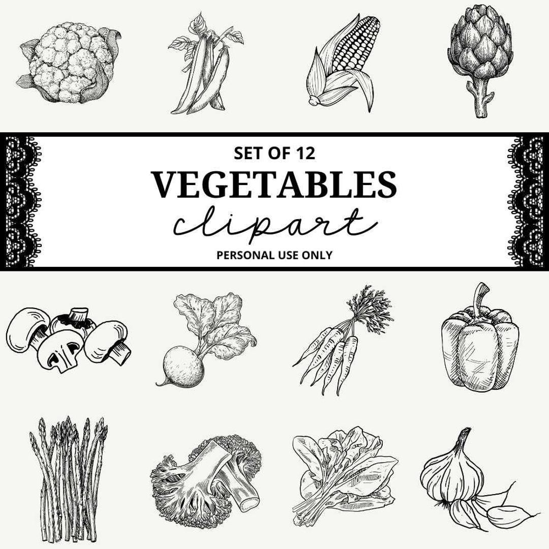 Hand Drawn Vegetable Clipart PNG | Transparent Farmhouse Veggie ...