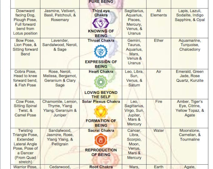 Chakra Chart, 7 Chakras Informational Chart, Laminated Chakra One-sided Chart, Chakra Basics ...