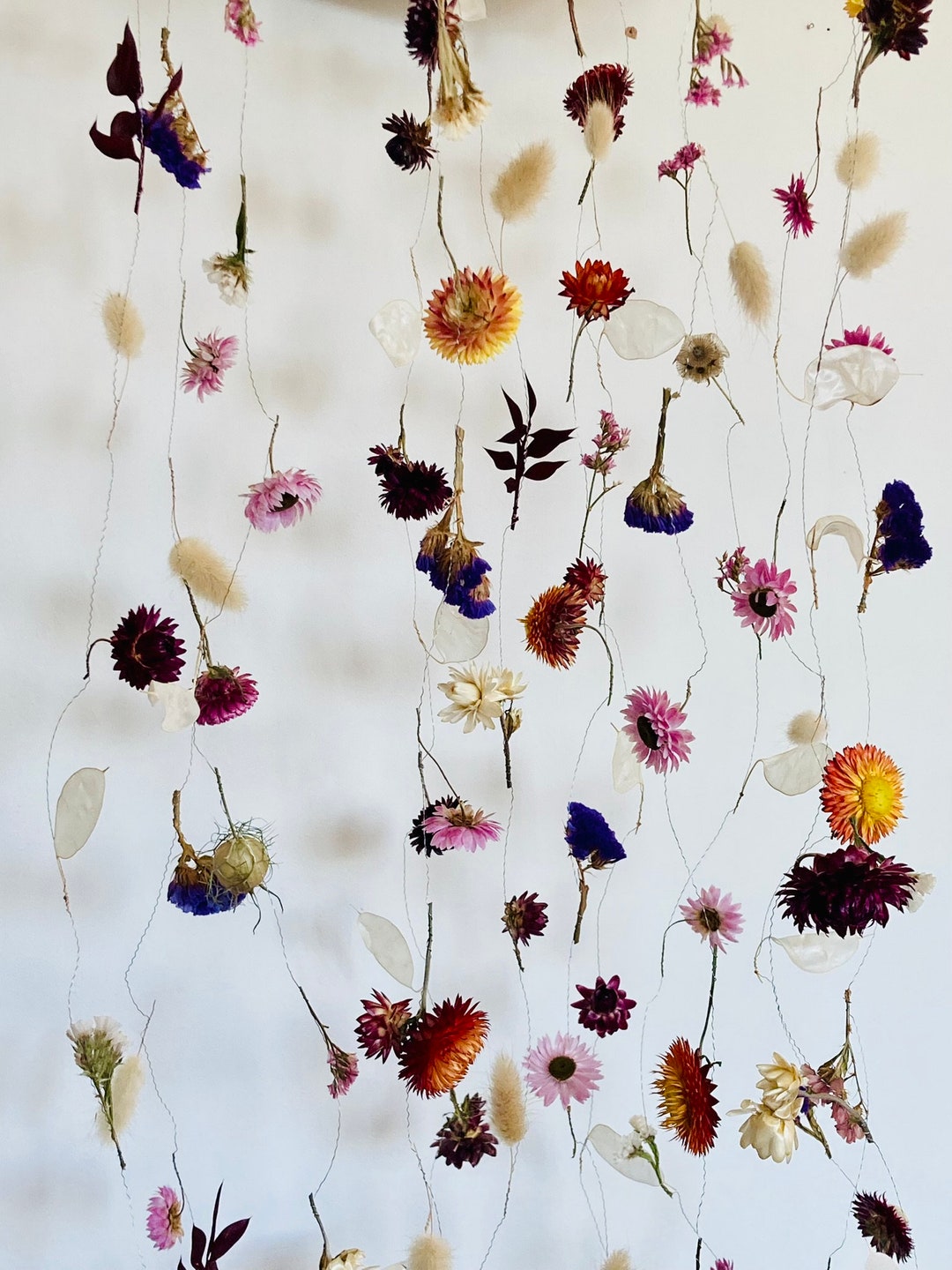Multi Coloured Dried Flower Strings each Sold Separately - Etsy UK