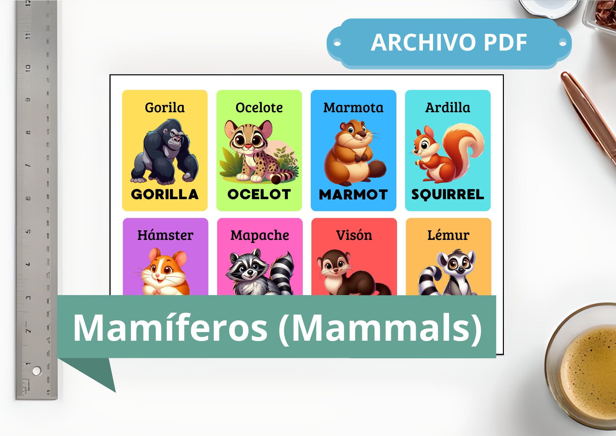 MAMMALS drawings 48 Montessori Cards Flashcards Pdf Printable Cards - Etsy