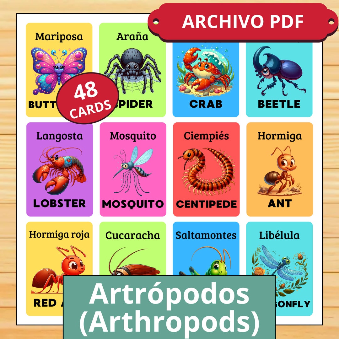 ARTHROPODS drawings 48 Montessori Cards Flashcards Pdf Printable Cards ...