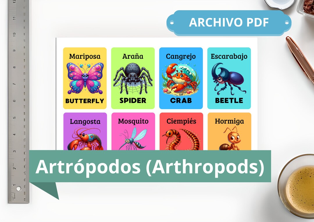 ARTHROPODS drawings 24 Montessori Cards Flashcards Pdf Printable Cards ...