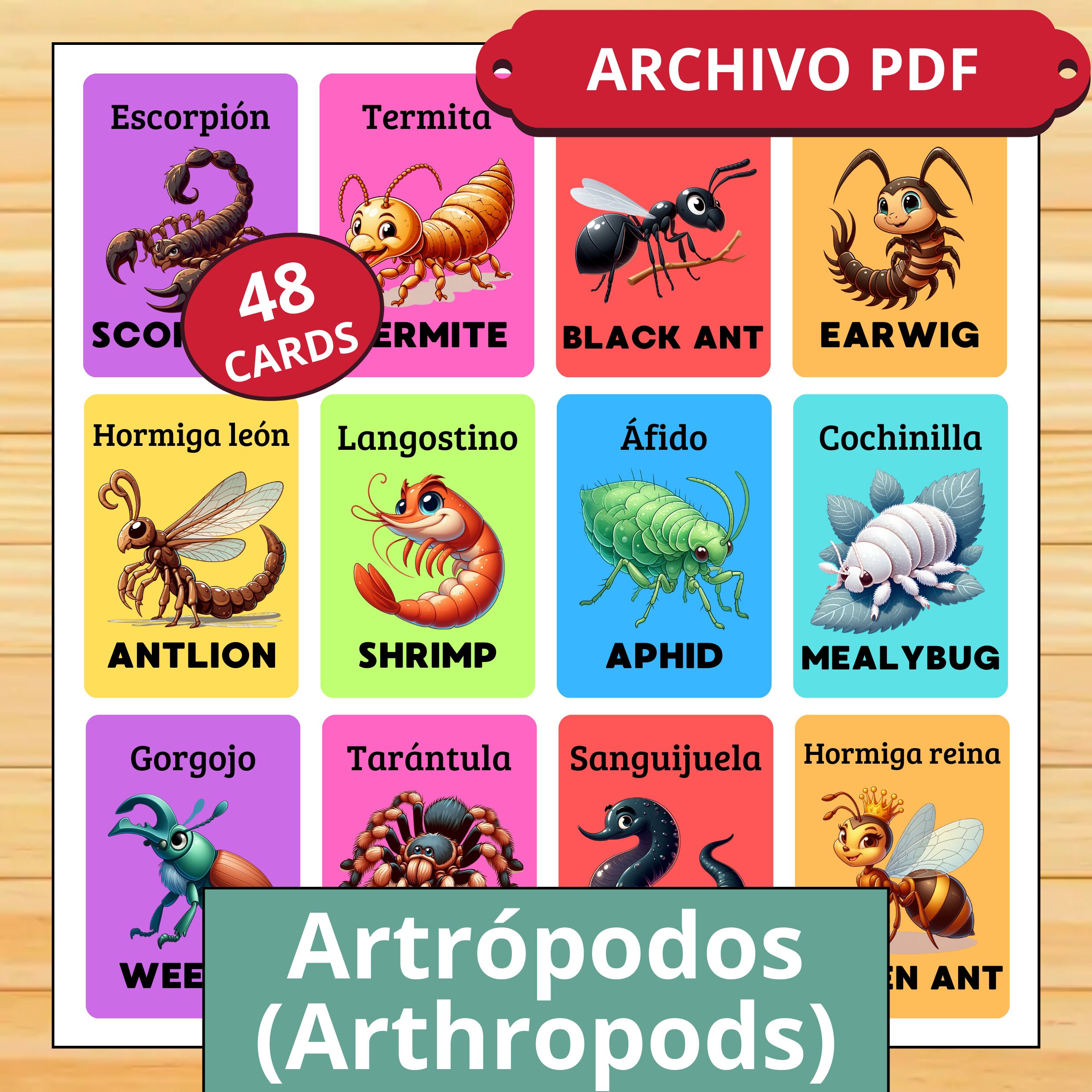 ARTHROPODS drawings 48 Montessori Cards Flashcards Pdf Printable Cards ...