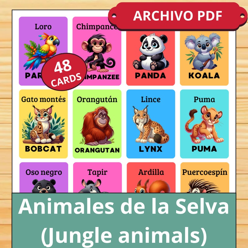 Flashcards ANIMALS OF THE JUNGLE drawings 48 Montessori Cards ...