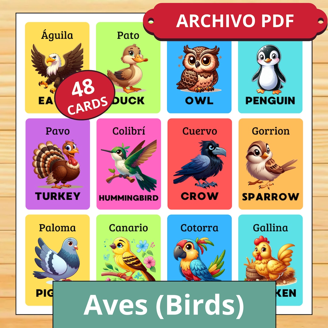 BIRDS Flashcards drawings 48 Montessori Cards Bilingual Educational ...