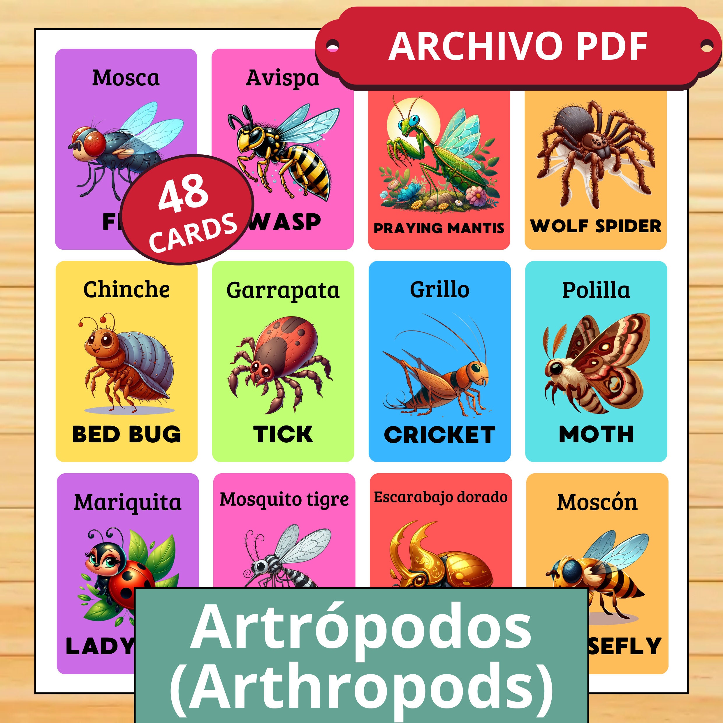 ARTHROPODS drawings 48 Montessori Cards Flashcards Pdf Printable Cards ...