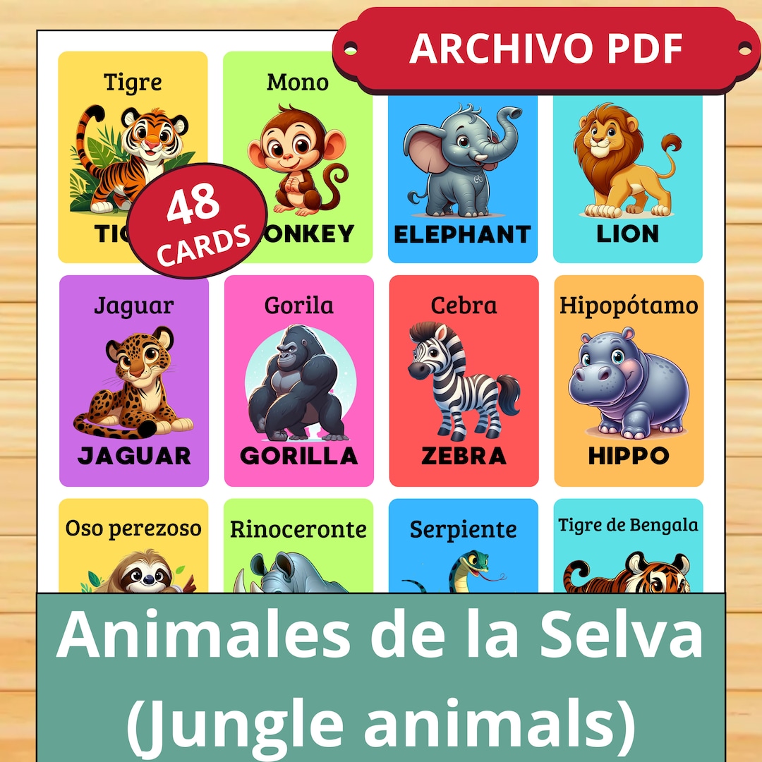 Flashcards ANIMALS OF THE JUNGLE drawings 48 Montessori Cards ...