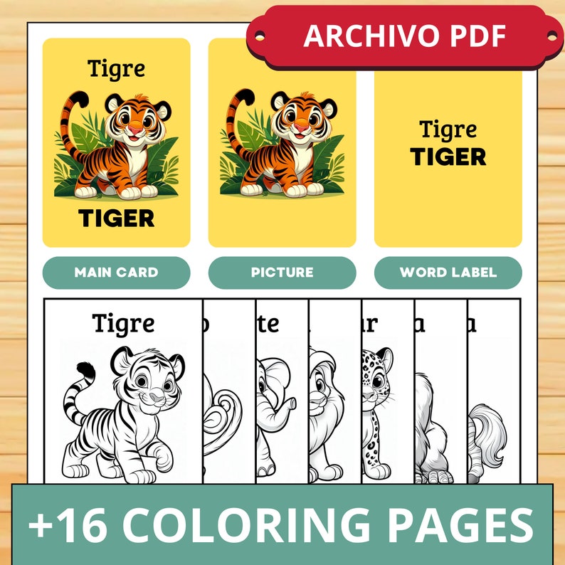 Flashcards ANIMALS OF THE JUNGLE drawings 48 Montessori Cards ...