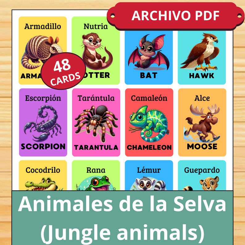 Flashcards ANIMALS OF THE JUNGLE drawings 48 Montessori Cards ...
