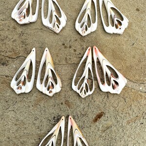 Conch Shell Slice Earring Bead Pairs Approximately 25x50mm, one Pair/2 ...