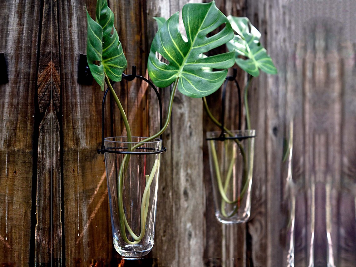 Almere Hanging Vase With Wall Hook | Glass Flower Vase for Home Decor ...