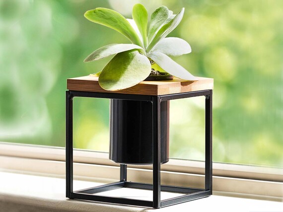 Classic Pablo Cube With Black Metal Stand - Etsy