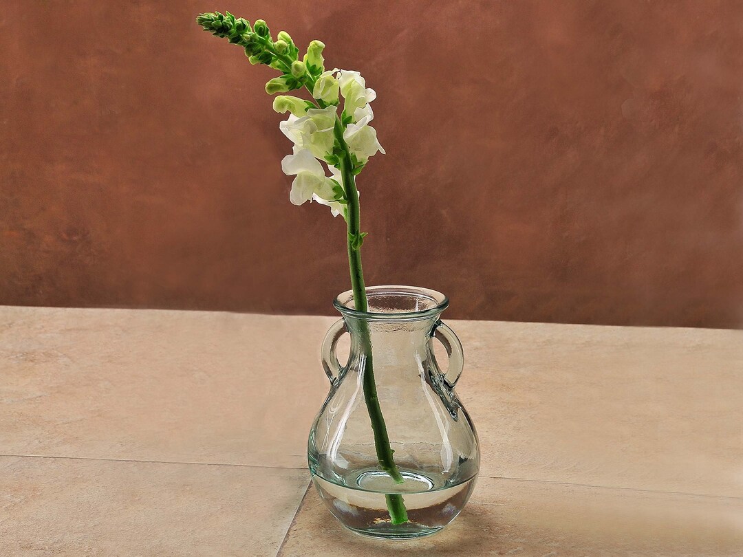 6 1/4" Small French Country Glass Vase | Elegant Flower Vase and Table ...